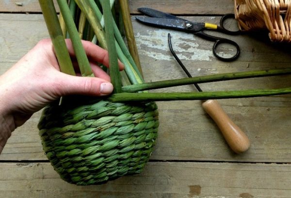 Archaeologists Making Baskets | Native Hands