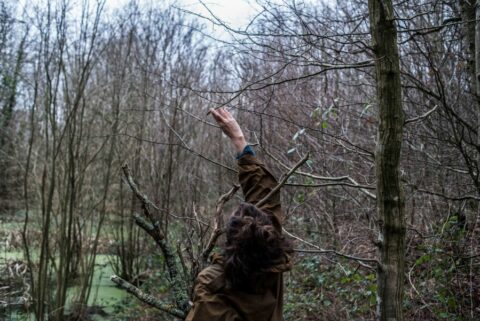 Threading Thorns | Bramble Baskets
