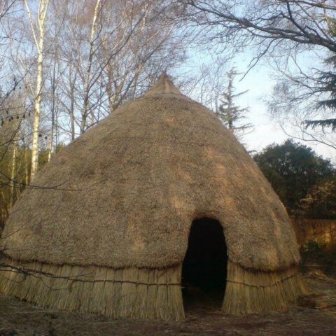 Woven Dwelling | Native Hands