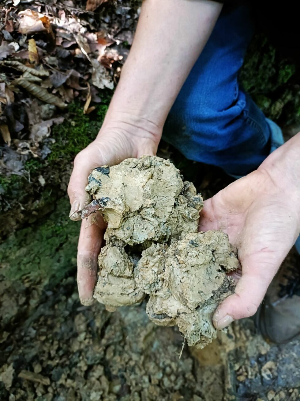 Dig Your Own Wild Clay