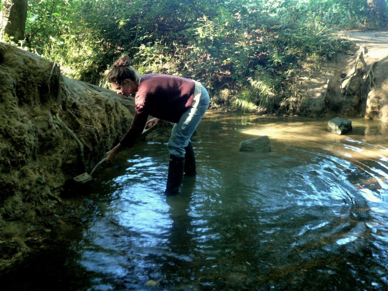 Dig Your Own Wild Clay